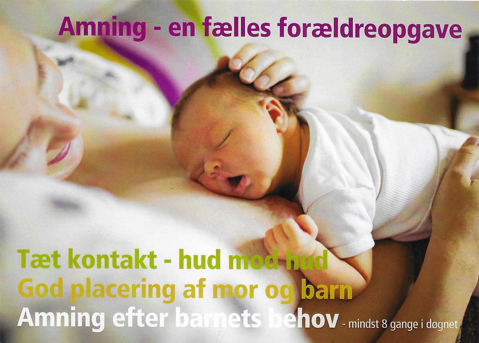 Din private ammevejleder i hele Nordjylland - Ammereden 💚